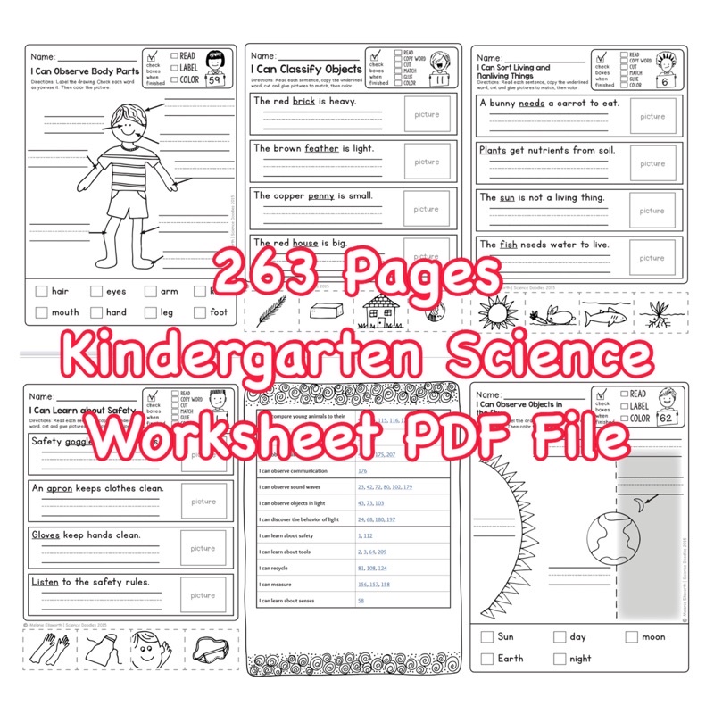 Kindergarten Science Worksheet PDF Softcopy Printable Science Activity ...