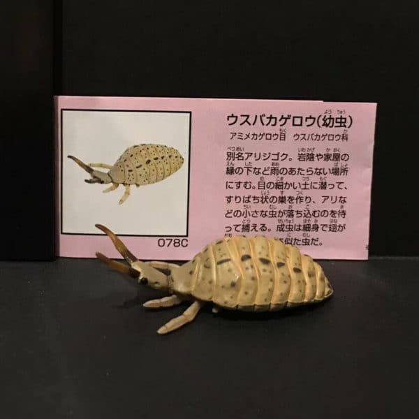 Kaiyodo Furuta Choco Egg Classic Ant Lion Fly Larva Insect Bug Figure ...