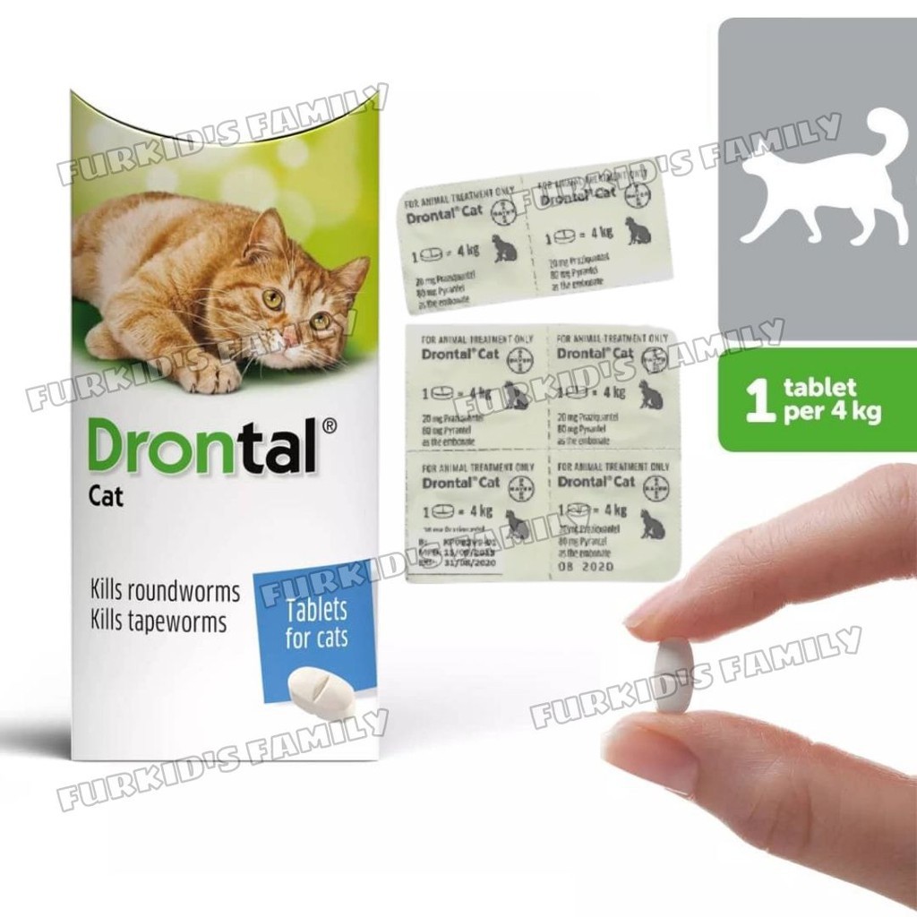(Original) Cat Deworm Tablet / D.ron.tal Ubat Cacing Kucing - 1 Tablet ...