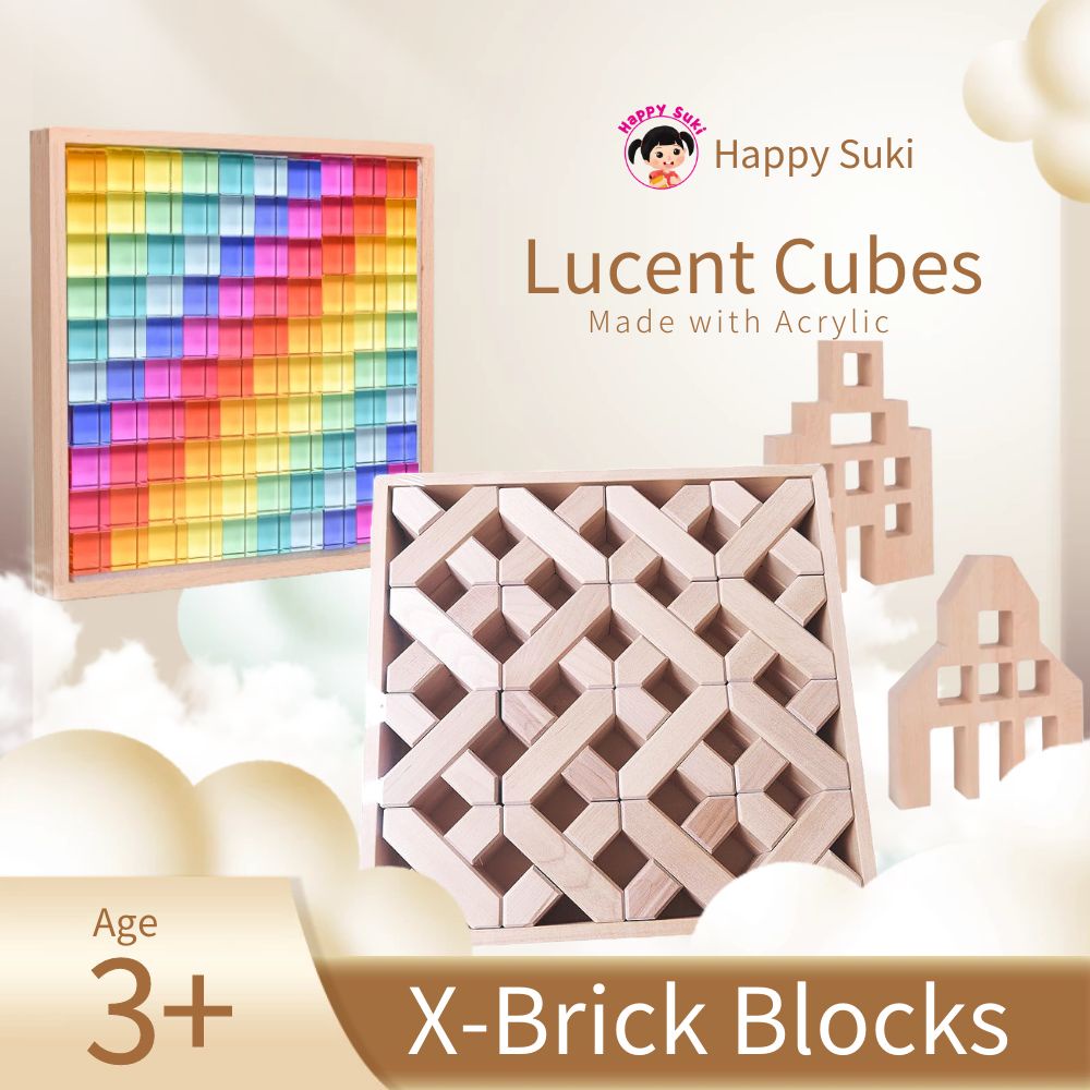 [SUKI] Rainbow Lucent Acrylic Cubes & Wooden X-Brick Block for Kids ...