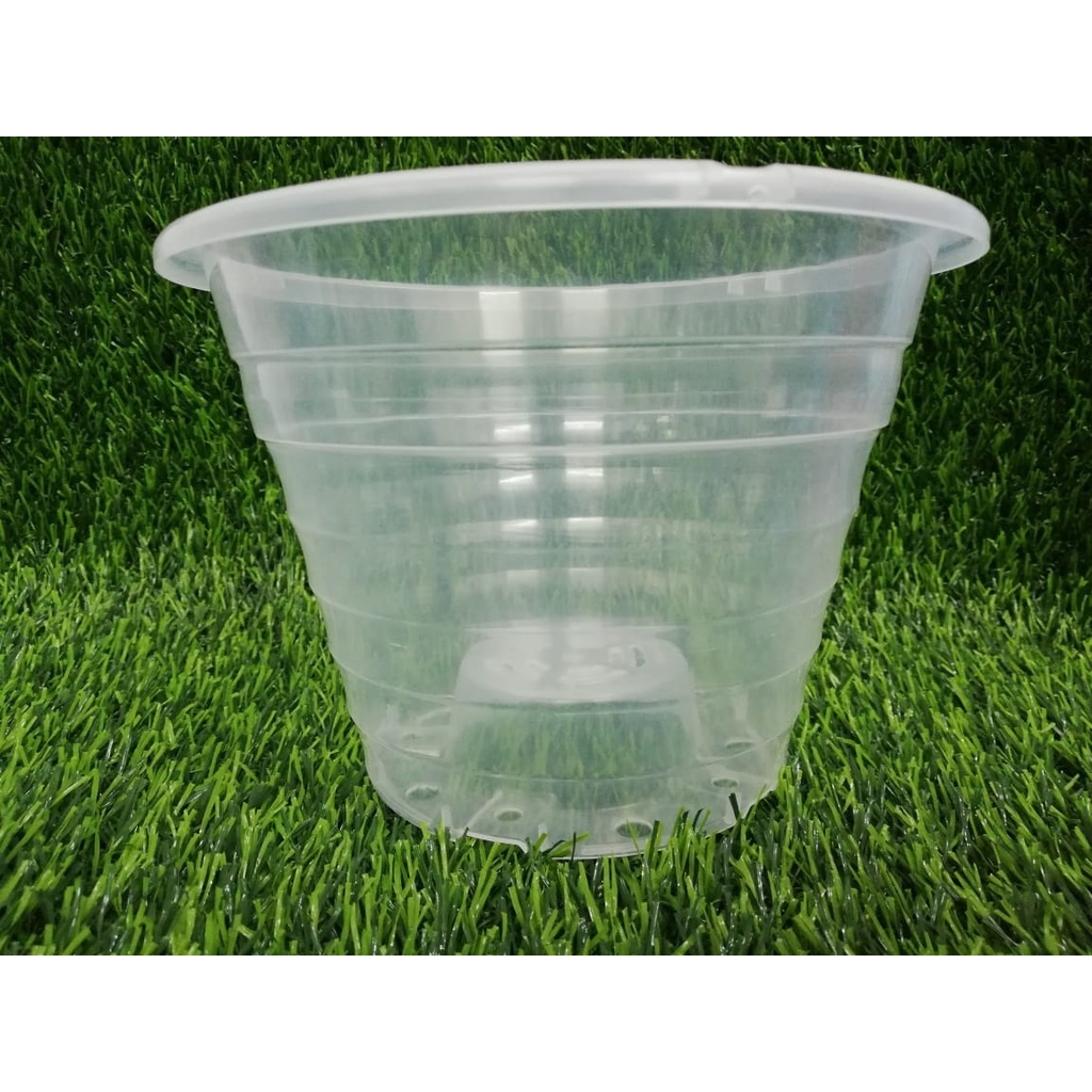 [POT] S180 Seedling Pot ( Transparent pot ) | Shopee Malaysia