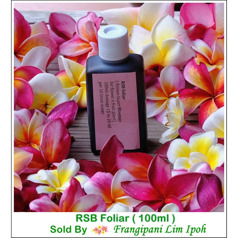 RSB Foliar - Rinson Super Blooming Spray (100ml) [For Flowering ...