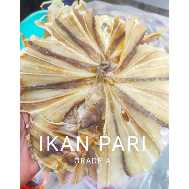1kg GRADE A IKAN PARI KERING | Shopee Malaysia