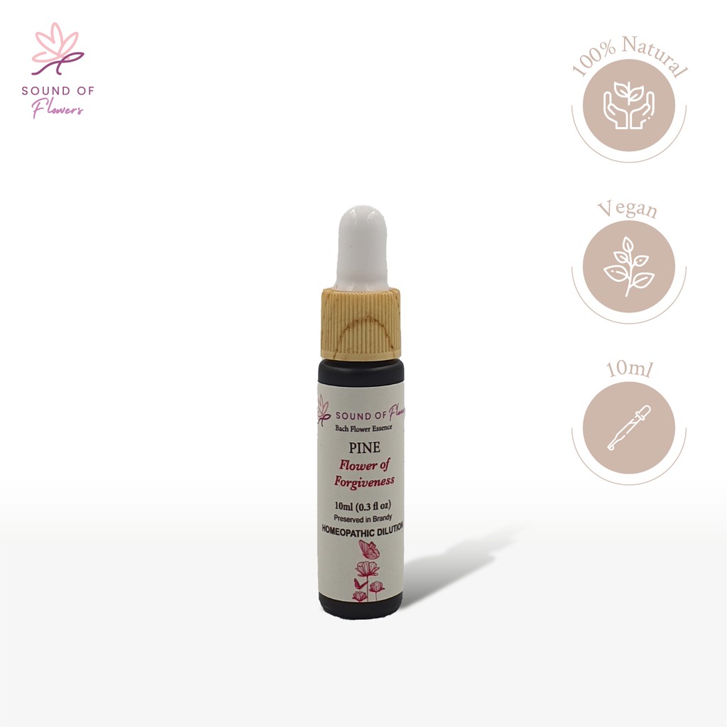 PINE-FLOWER OF FORGIVENESS 10ML | Shopee Malaysia