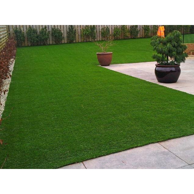 1 Big Roll (25M x 2M x 20mm) Gym Carpet Artificial Fake Grass Indoor ...