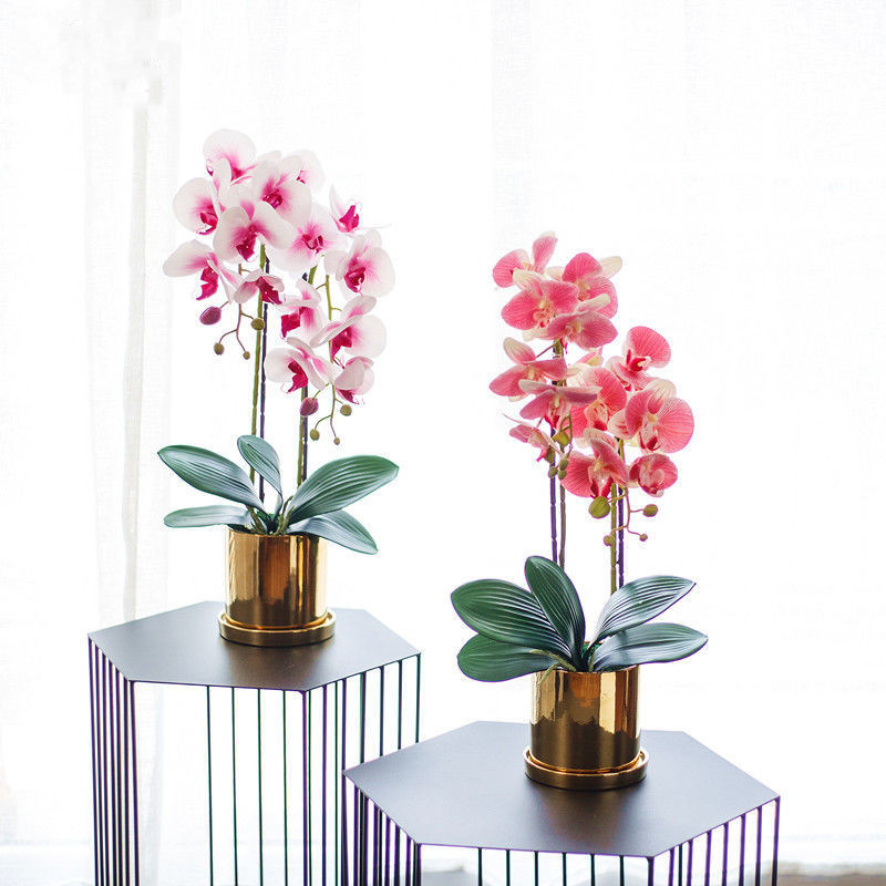 Phalaenopsis Simulation Flower Set Decoration Living Room Coffee Table ...