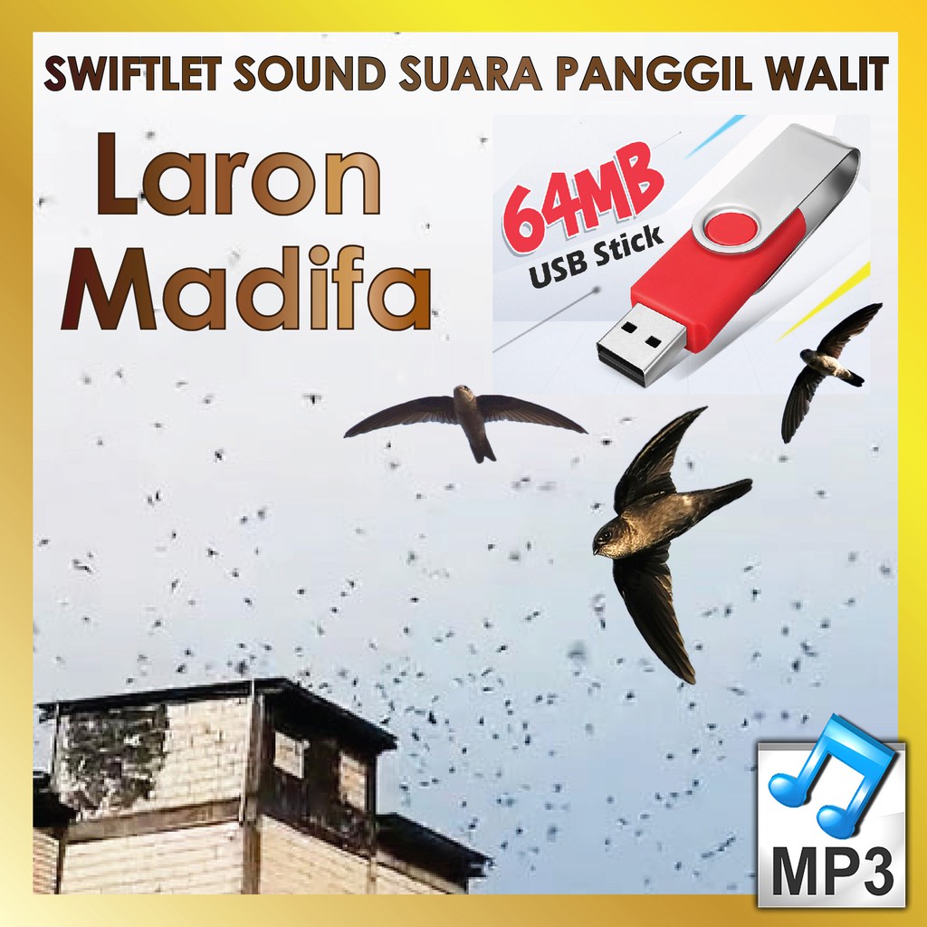 SWIFTLET SWIFLET BIRD SOUND SUARA PANGGIL BURUNG WALIT WALET 燕子声 laron ...