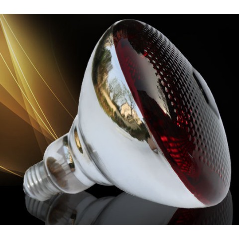 Lampu Ayam Panas Mentol Pemanas Anak Infrared Bulb Heater Haiwan Merah ...