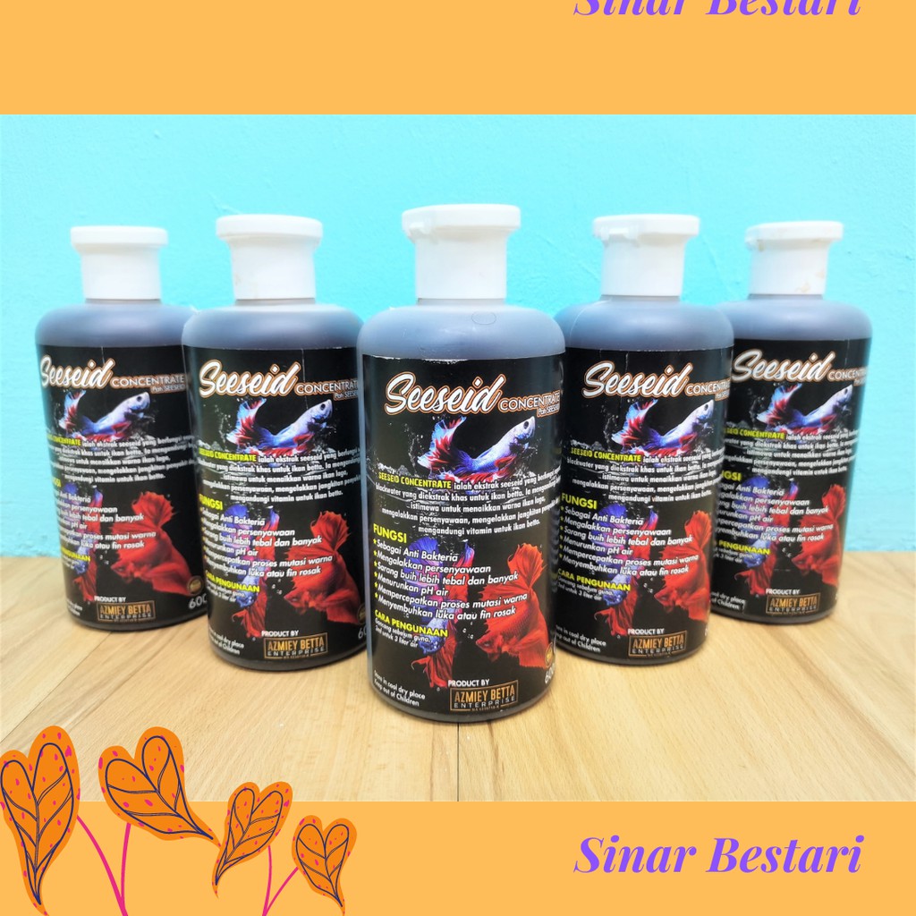 Pati Seeseid Concentrate intimate ikan Laga Color warna breeding Groom ...