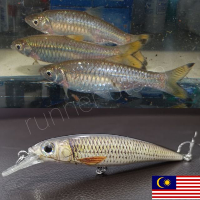 Fishing lure gewang casting siakap minnow ikan anak belanak joran bait ...