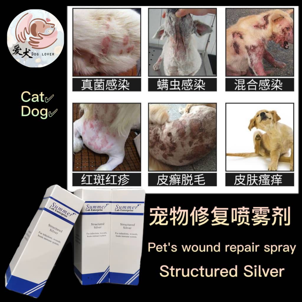 Pet's Structured Silver Spray | Shopee Malaysia