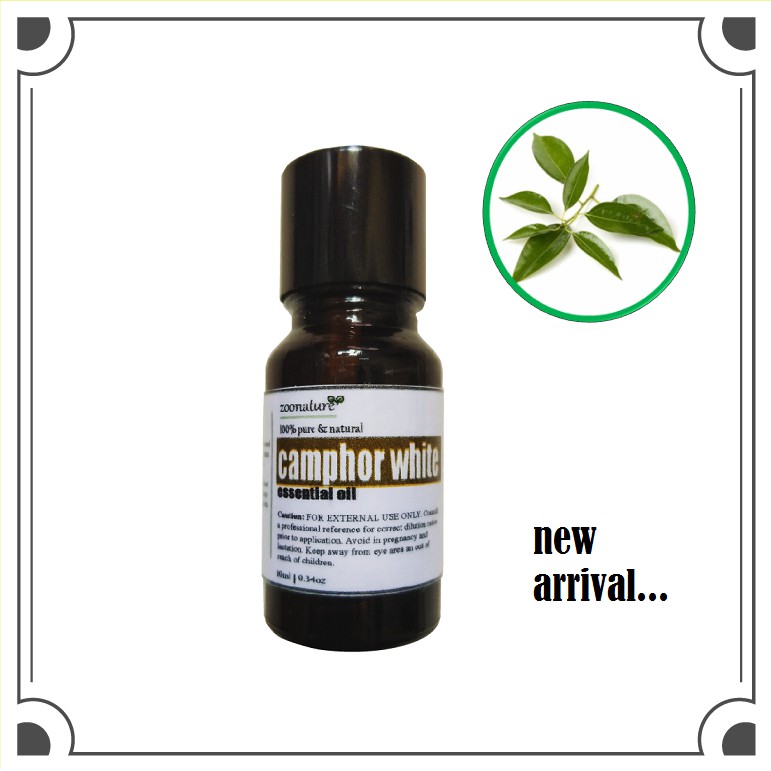 Camphor White Essential Oil (10ml/30ml/50ml/100ml) | Shopee Malaysia