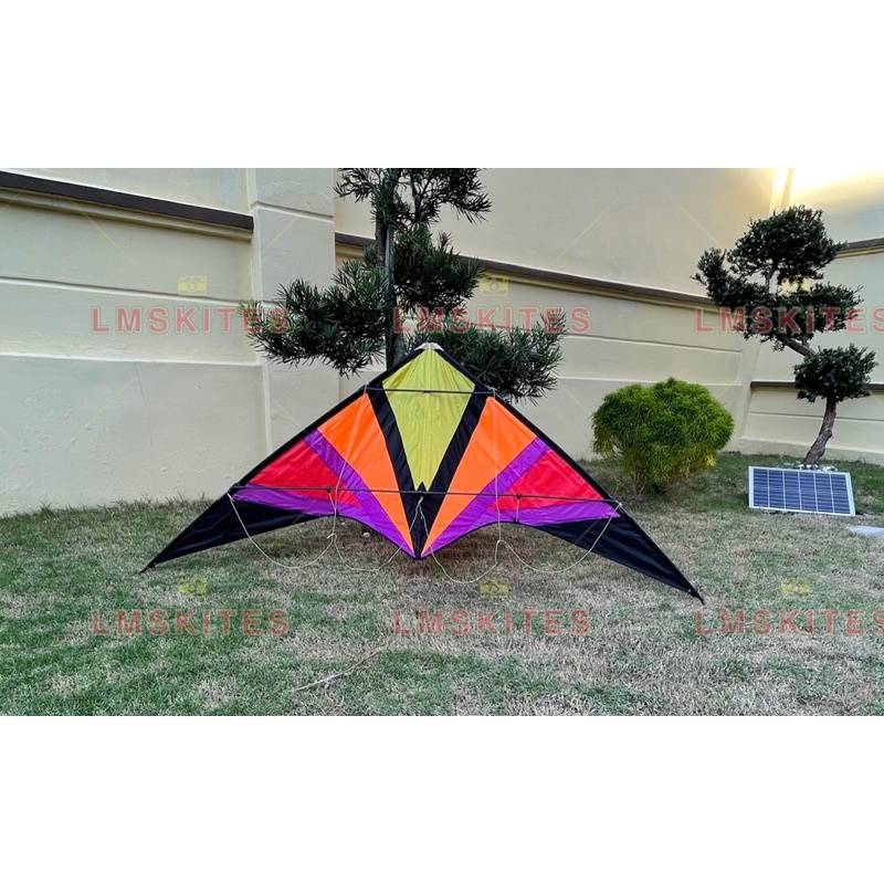 1.8m Showy Stunt Kite [Loud][Fiberglass Rod] Albatross stunt kite dual ...