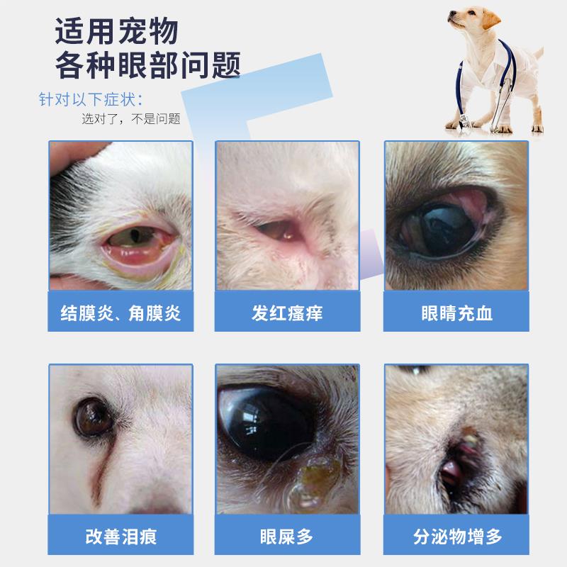 The Novice Shoppie Yishigao eye drops eye care nose branch eye drops ...