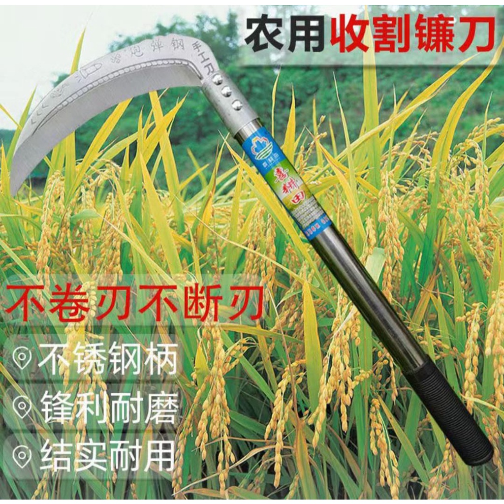 🚀READY STOCK🚀Fruit Sickle Fruit Knife Banana Sickle Sabit Pisang Sabit ...