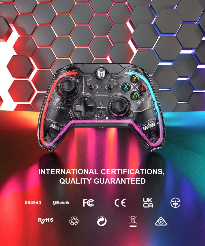 BIGBIG WON Rainbow Lite Wired Controller PC Controllers for Nintendo ...