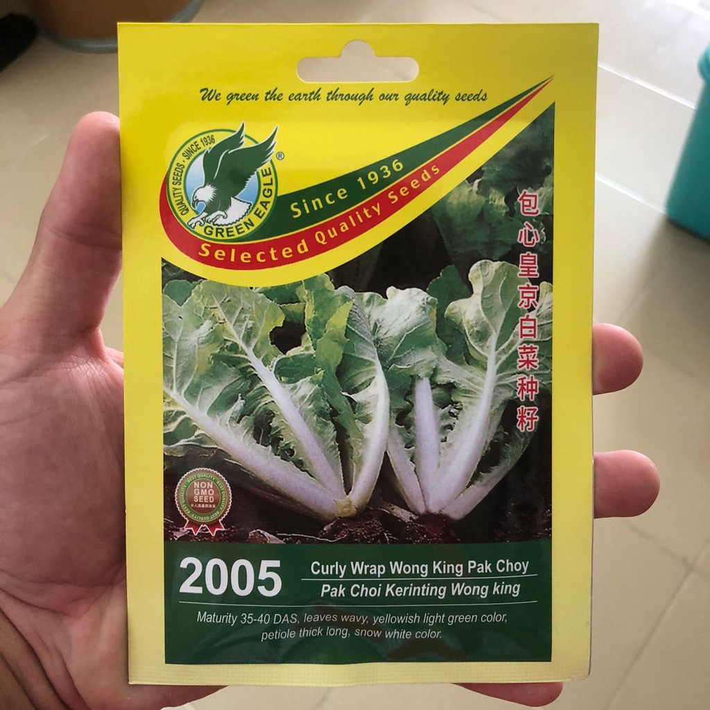 Benih Pak Choi Kerinting GREEN EAGLE 2005 (10gm) | Shopee Malaysia