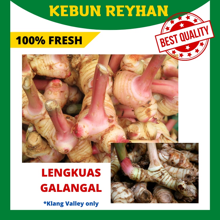 [PRE-ORDER] 100% Fresh Organic Vegetables Grocery 250g Galangal ...