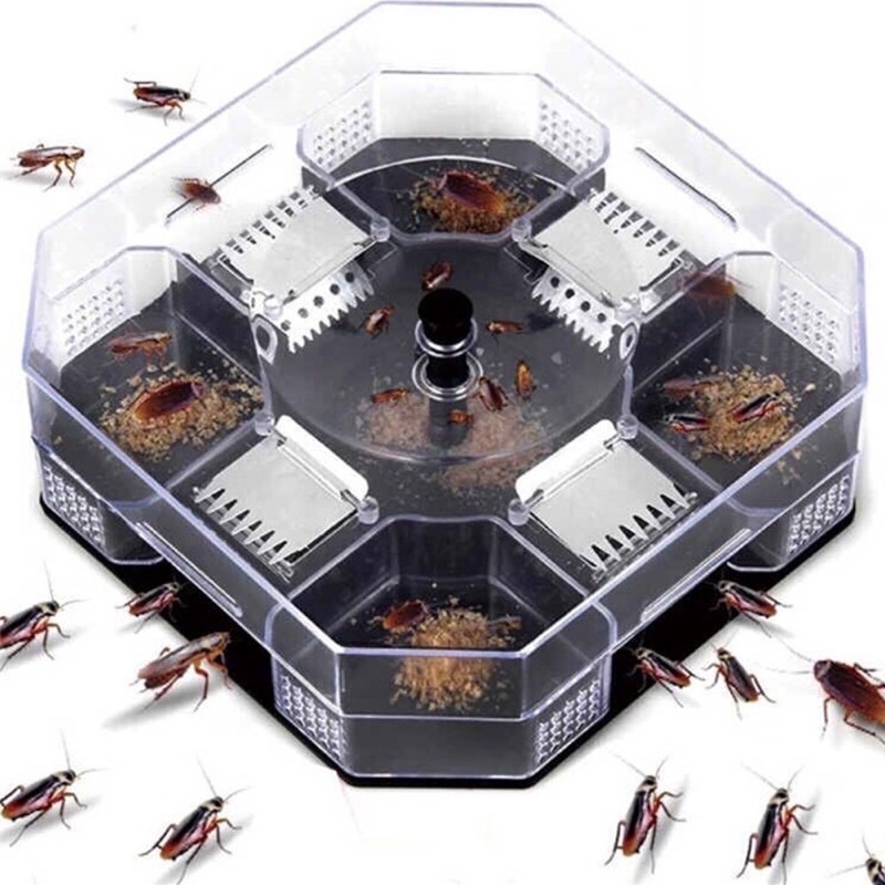 COCKROACH TRAP BOX 4 DOOR/ PERANGKAP LIPAS / PENGHAPUS LIPAS -14 CM ...