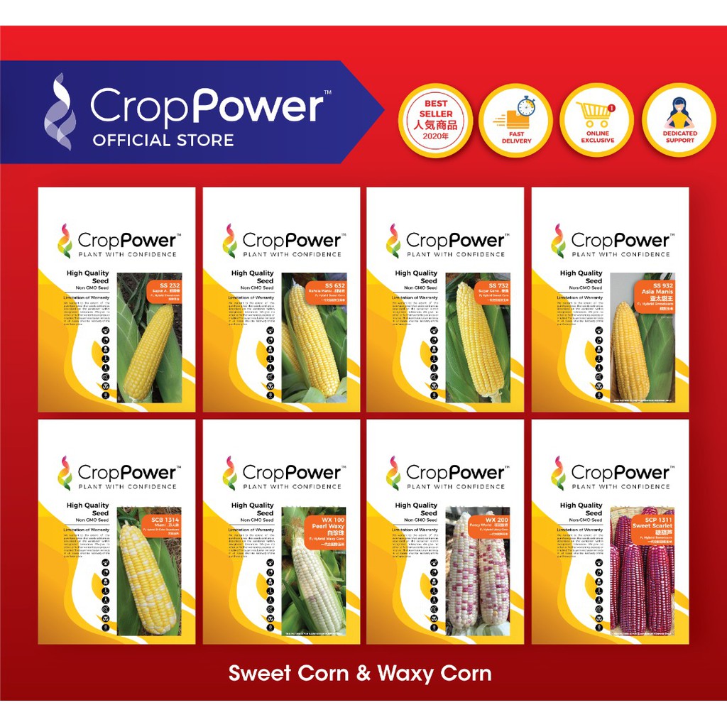 Benih Jagung Corn Seed 玉米种子 CROP POWER SC 9001 SS 232 SS 932 SS 632 SCP ...