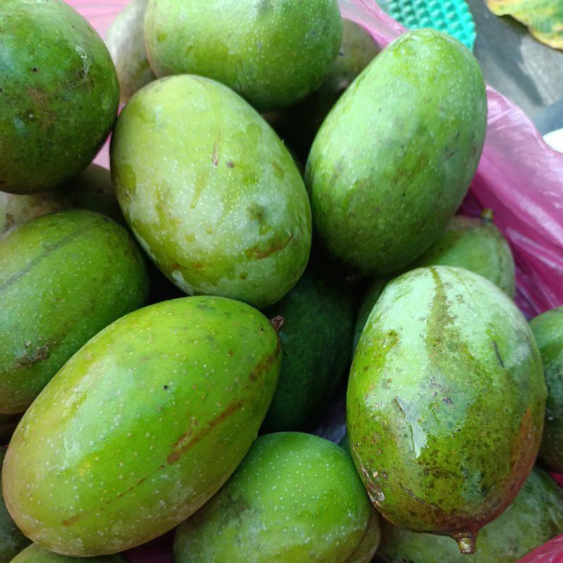 Buy buah kuini Online With Best Price, May 2026 | Shopee Malaysia