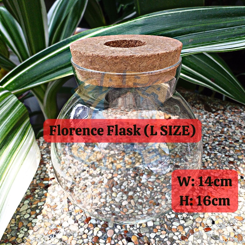 Pasu Kaca Bunga Hiasan Ruang Tamu Hydroponic Glass Vase Transparent Pot ...