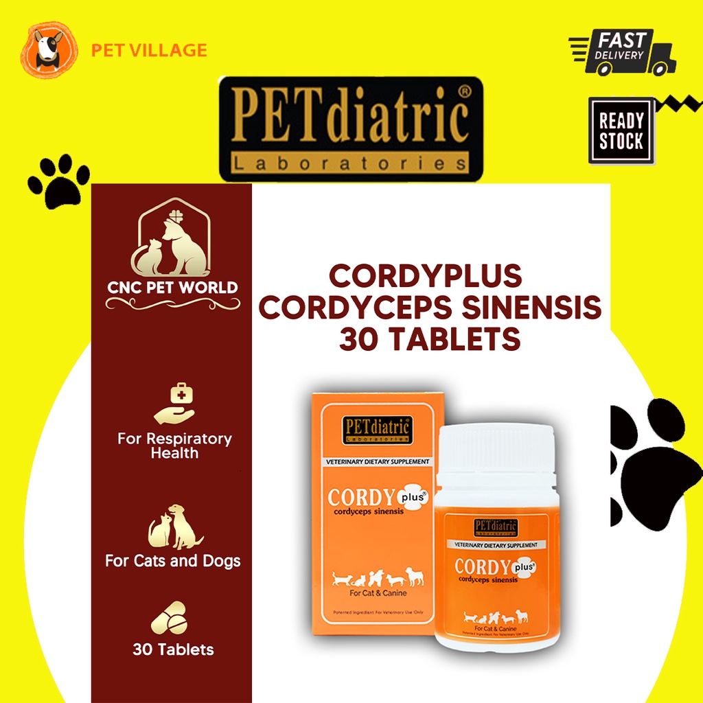 PROMO PETDIATRIC Cordy Plus 30 Cordyceps Sinesis For Cat & Canine 300mg ...