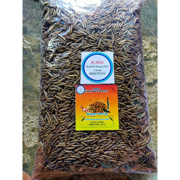 Dry Magot Pack 10kg | Shopee Malaysia