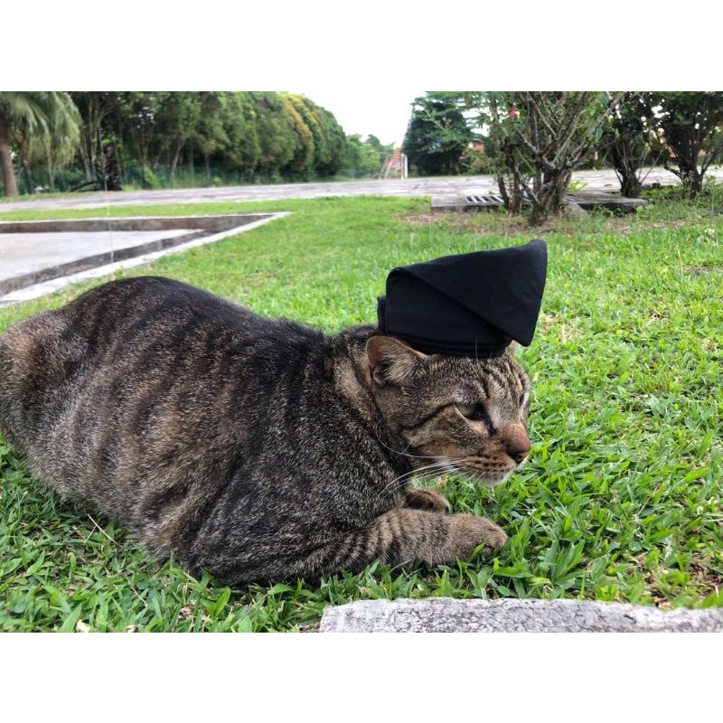 Songkok & Tanjak Kucing Raya Haiwan Murah | Shopee Malaysia