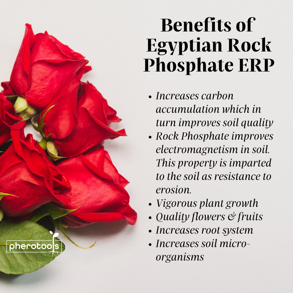 Pherotools 2KG ERP Egyptian Rock Phosphate Fosfate (Baja Akar) (Baja ...