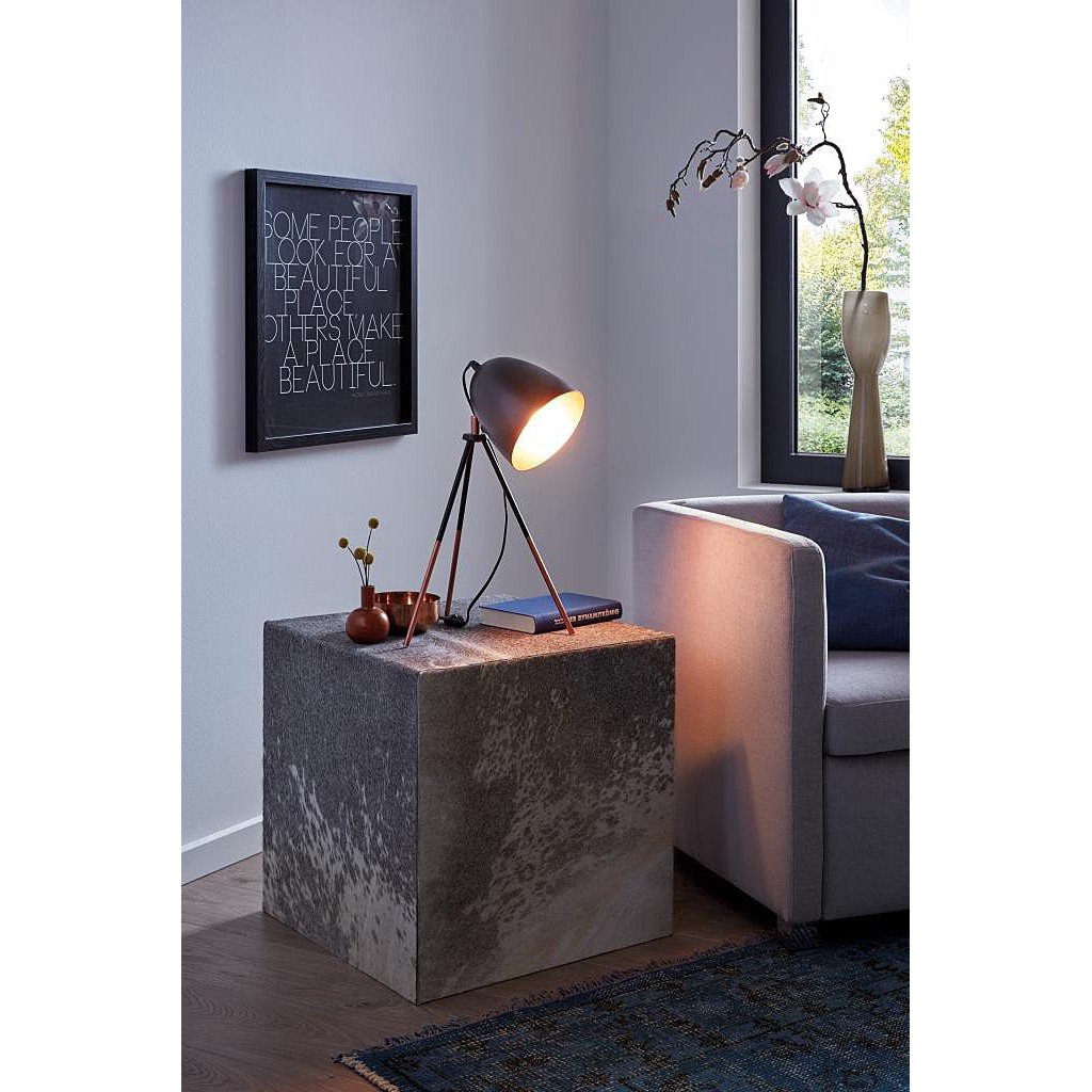 EGLO CHESTER 1 Table/Floor Lights (Table/Floor Luminaire; Steel, Rust-Coloured) | Shopee Malaysia