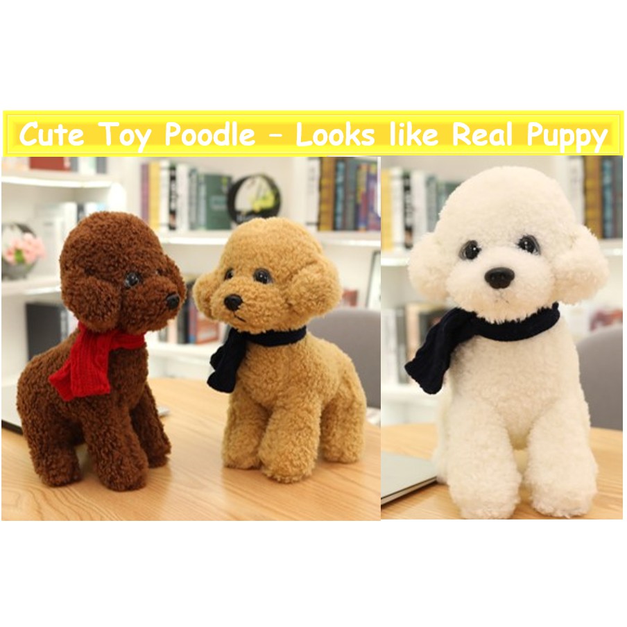 [READY STOCK MY]Toy Poodle Looks like real dog Soft Toy Animal Stuffed ...