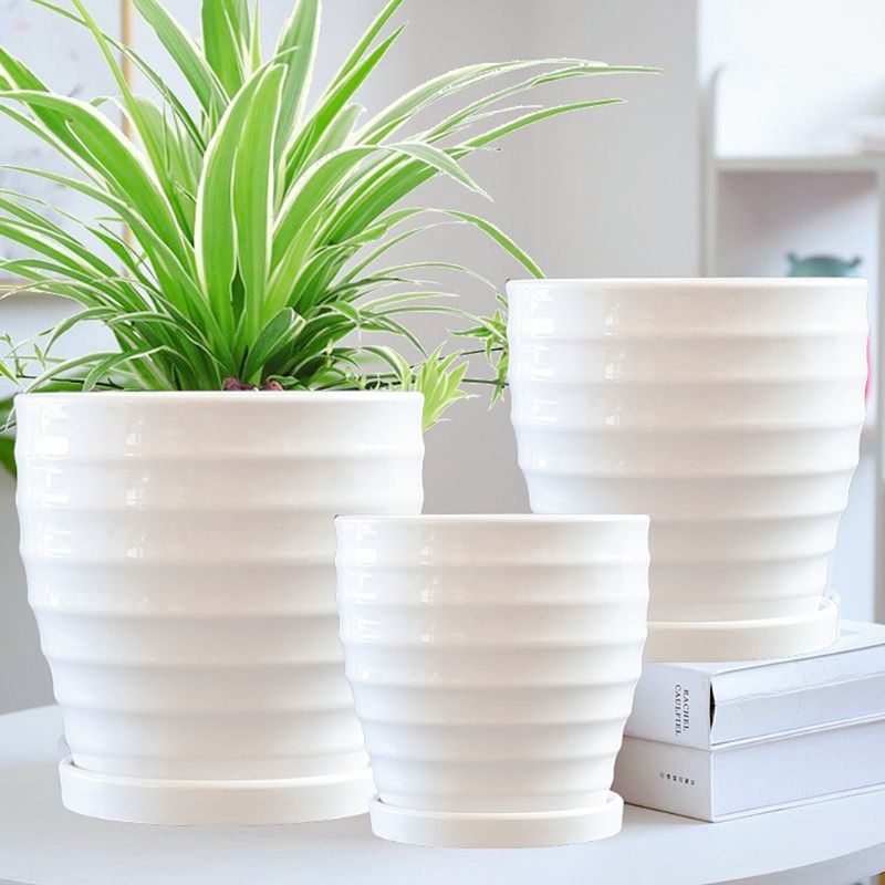 Ceramic Flower Vase 🇲🇾 Pasu Seramik / Flower Pot / Pasu Bunga / Planter ...