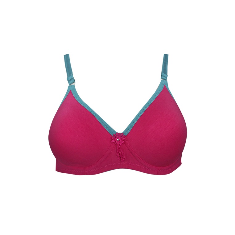 Hari-Hari - EV FASHION Women's Bra B Cup / Non-Wired / Baju Dalam ...