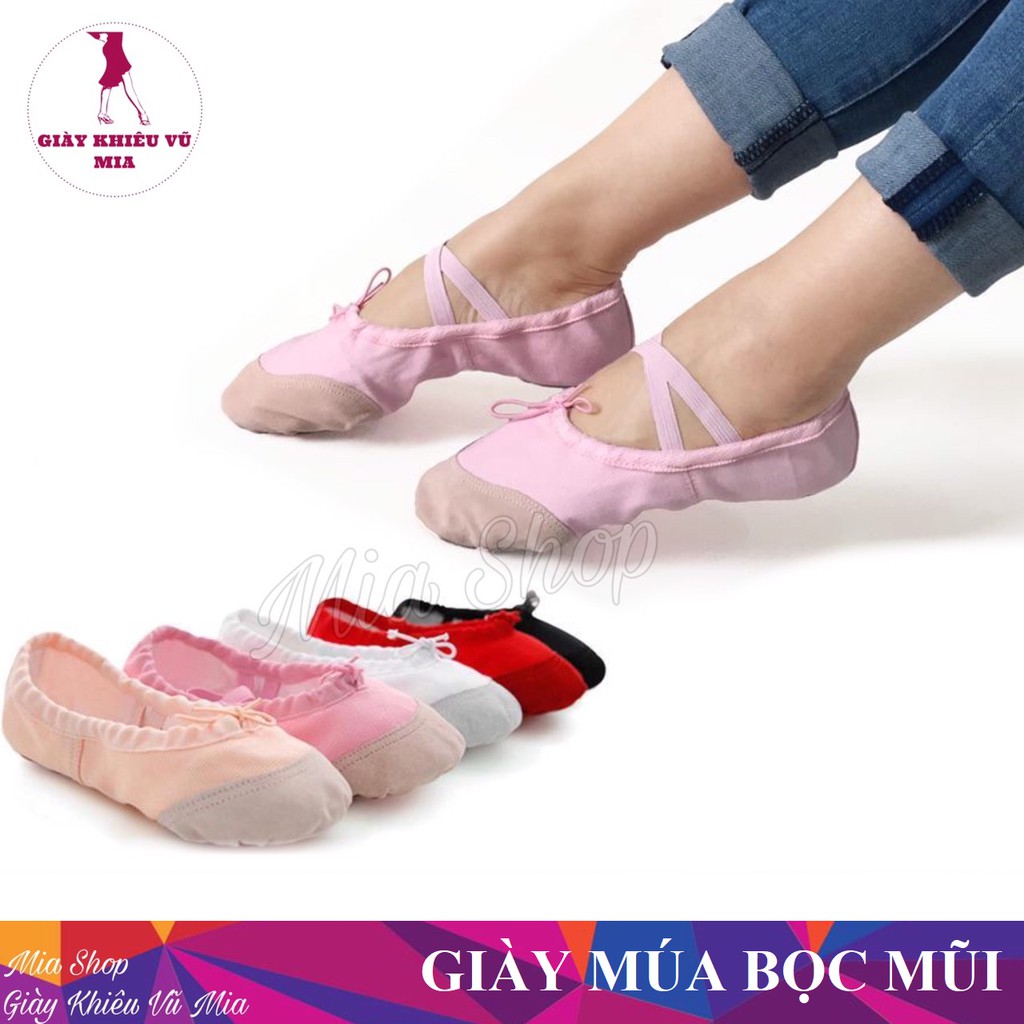 Bale Dance Shoes with Multi-Colored Suede Toe [Size 22 -> 41] | Shopee ...