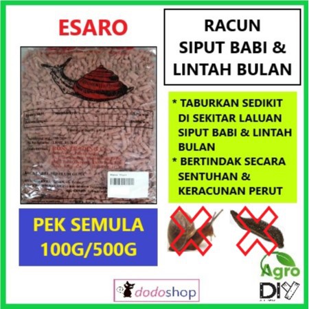 RACUN SIPUT BABI LINTAH BULAN / SNAIL / SLUG PEROSAK DAUN TANAMAN ...