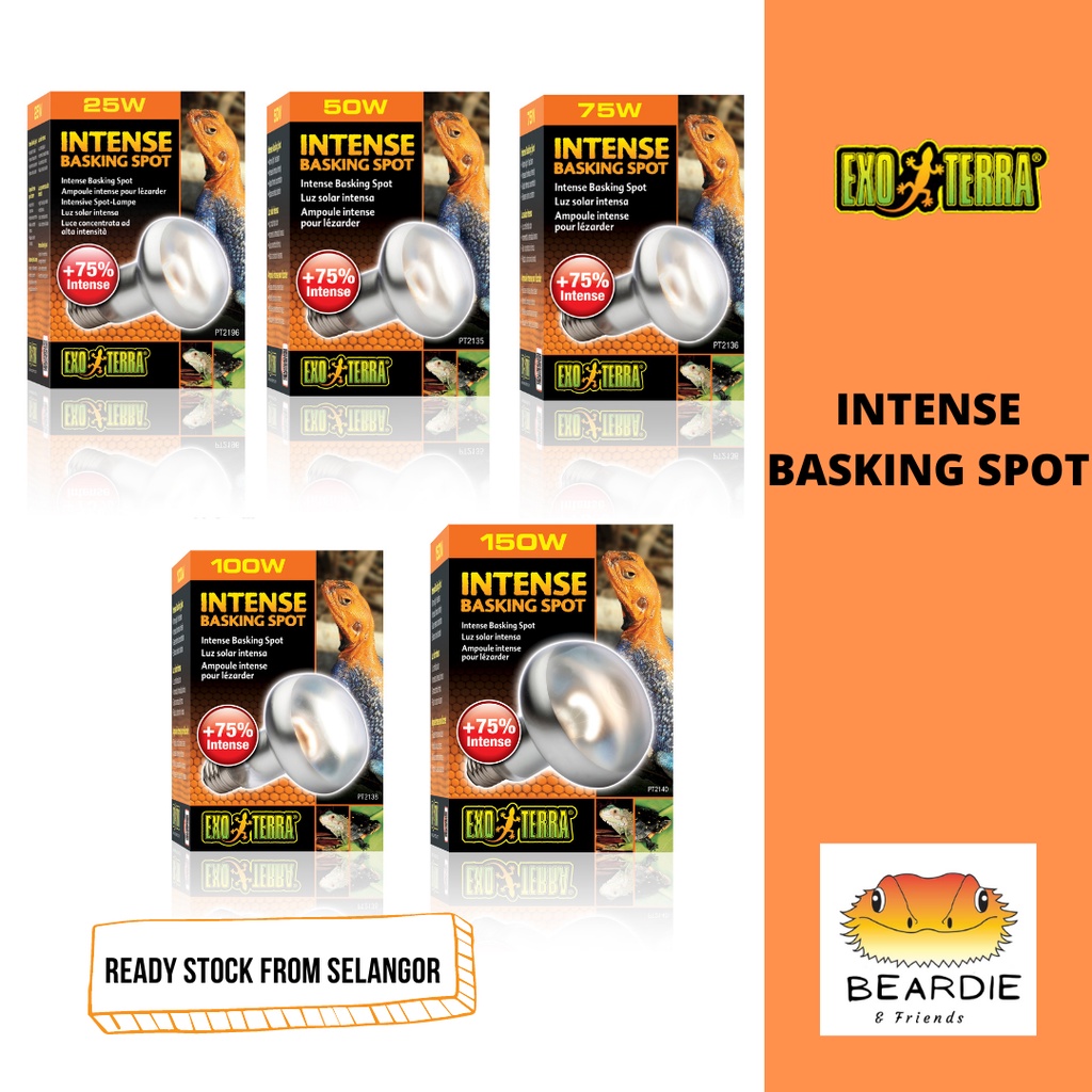 EXO TERRA INTENSE BASKING SPOT REPTILE UVA BULB 25W/50W/75W/100W/150W (PT2196/PT2135/PT2136 ...