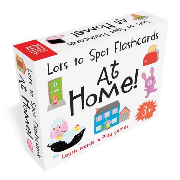 Flashcard Lots to Spot Flashcards : At Home - Learn And Play | Shopee ...