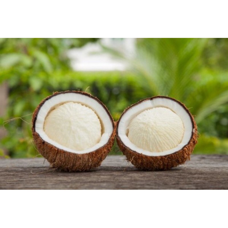 🔥SALES🔥 Kelapa Tua Organic (Tombong)/Tombong kelapa/Kentos Kelapa ...