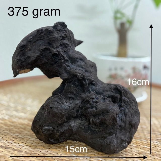 🔥Kayu kemuning hitam Asli penawar hitam 黑金木 375g FREE shipping | Shopee ...