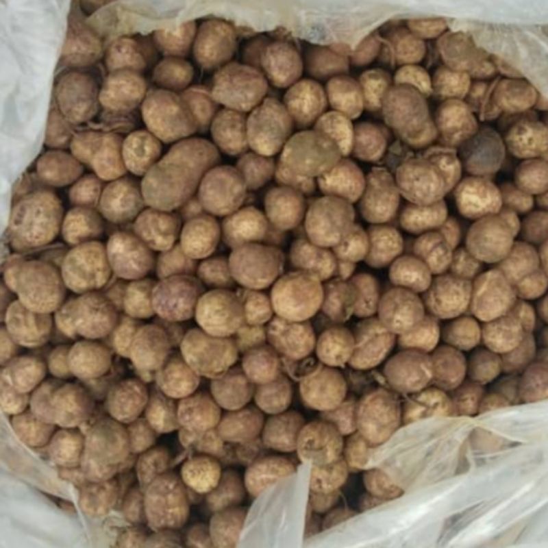 1KG KACANG POOL @ KACANG POI MENTAH | Shopee Malaysia