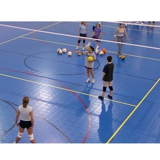 Anti-static PP Interlocking Indoor Plastic Flooring flat pattern futsal ...