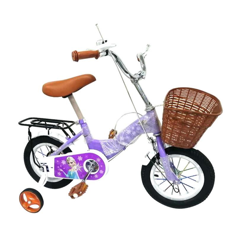 GKIDS Disney Frozen Elsa 12 Inch Purple Bicycle for Young Kids - With ...