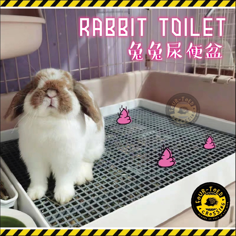 Rabbit Toilet Pet Urine Tray 兔兔厕所尿便盆 【RT-4】Bunny Toilet Tray | Shopee ...