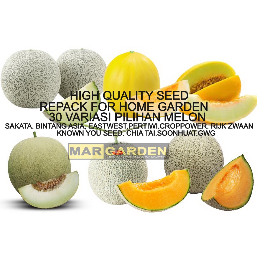 10 Biji Benih Rock Melon Golden Melon Pelbagai Variasi | Shopee Malaysia