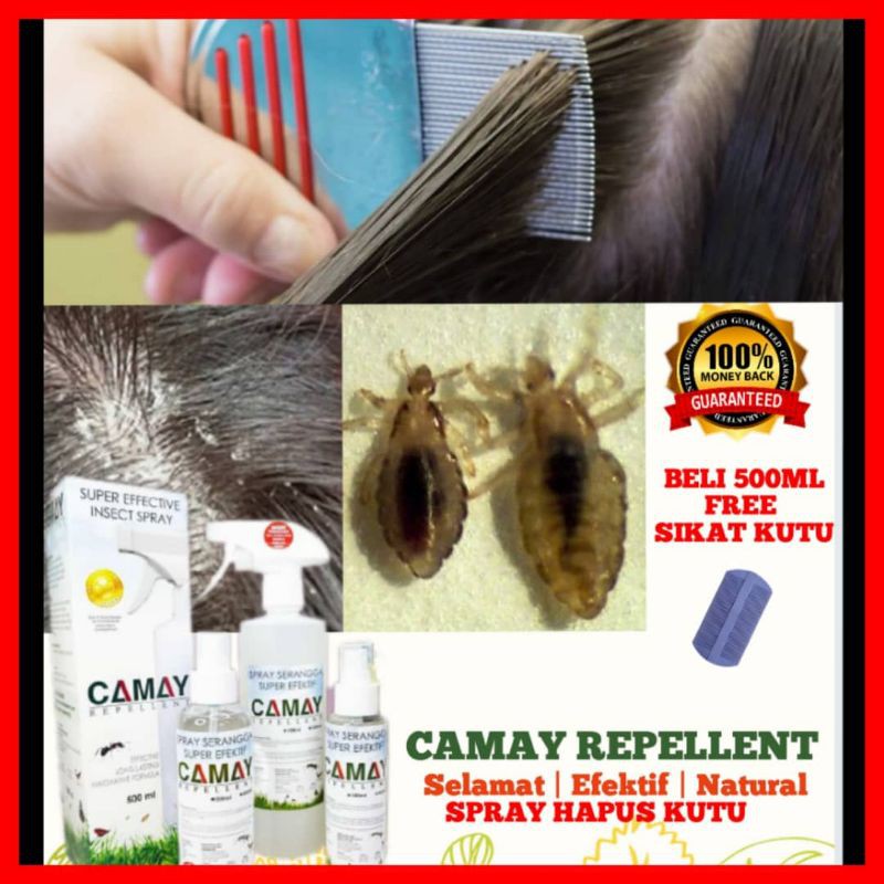 🔥HOT ITEM🔥CAMAY SPRAY KUTU/LICE NATURAL WITH 🎁 | Shopee Malaysia