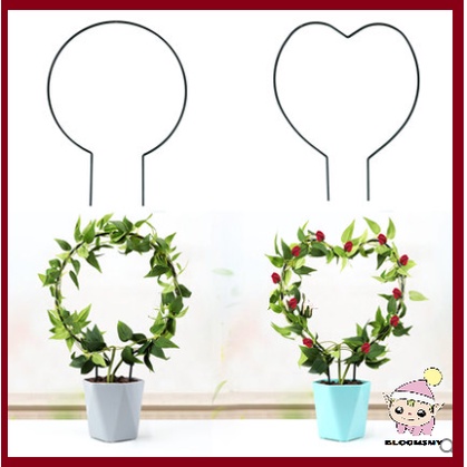 *BloomsMY* Climbing Support Love Shape Round Shape Hoya/ Rak Bunga ...