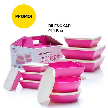 Tupperware Ichigo Pink Set (10pcs) | Shopee Malaysia