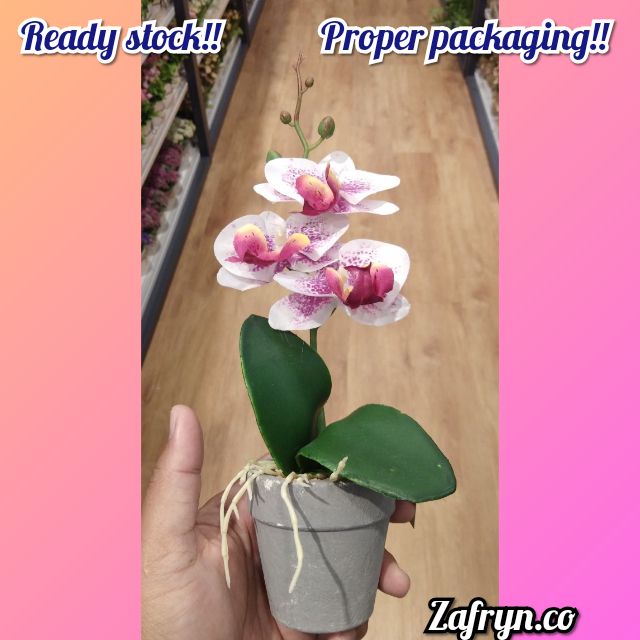 Kaison Artificial Small Potted Plant, Pokok Bunga Hiasan / Tiruan ...