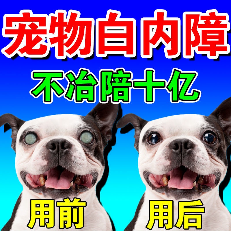 Pet dog cataract is not embodied all accompany pet eye drops the dog ...